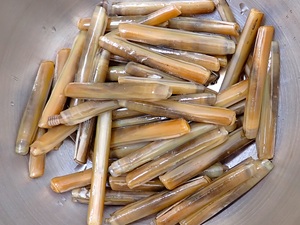 浜名湖釣酌庵