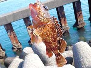 浜名湖釣酌庵