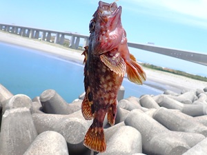 浜名湖釣酌庵
